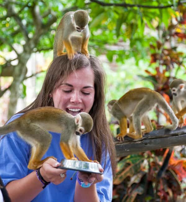 Samaná: Monkeyland and Open-Air Safari Truck Tour - Key Points