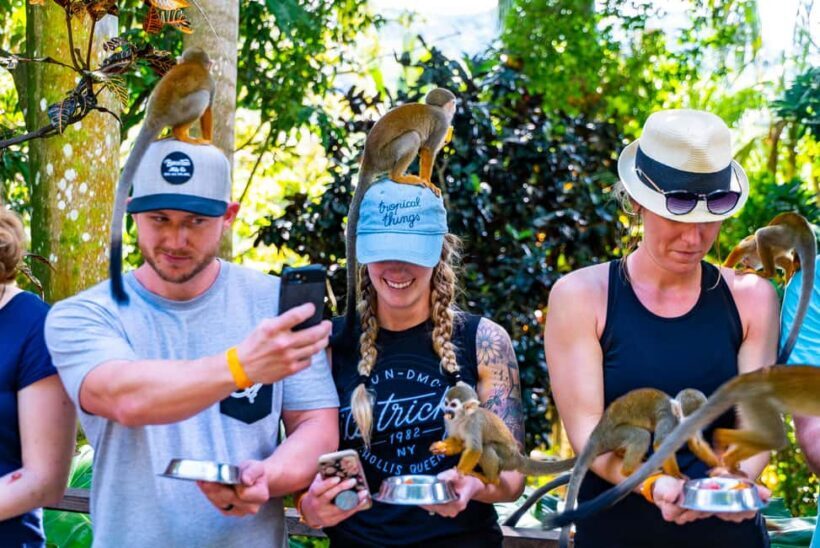 Samaná: Monkeyland and Open-Air Safari Truck Tour - Feeding and Playing with the Monkeys