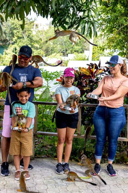 Samaná: Monkeyland and Open-Air Safari Truck Tour - FAQs