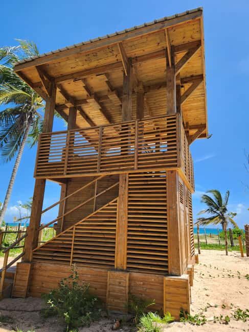 Samana: Montaña Redonda, Lunch, and Esmeralda Beach Tour - Who Should Consider This Tour?