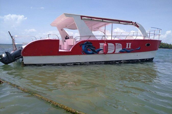 Samana Paradise Shared Tour - FAQ