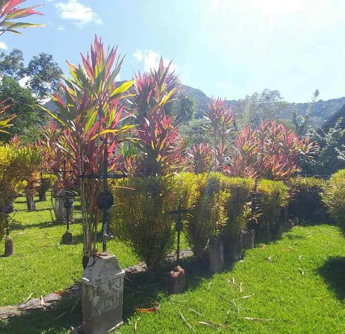 Samaná: Private Early-Morning Trek to El Limón Waterfall - Practical Tips for Your Trip