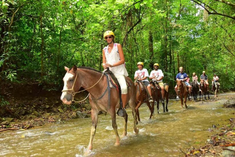 Samaná: Private Horseback Riding to El Limón Waterfall - Introduction: Discovering a Unique Samaná Adventure