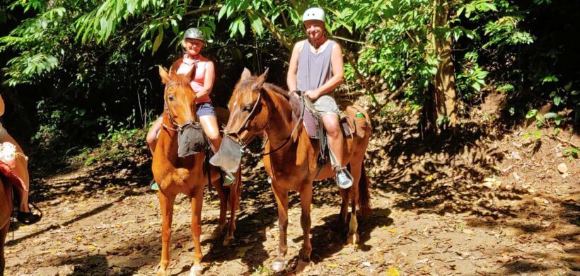 Samaná: Private Horseback Riding to El Limón Waterfall - The Experience Provider: Tickets Whales