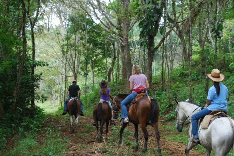Samaná: Private Horseback Riding to El Limón Waterfall - FAQ