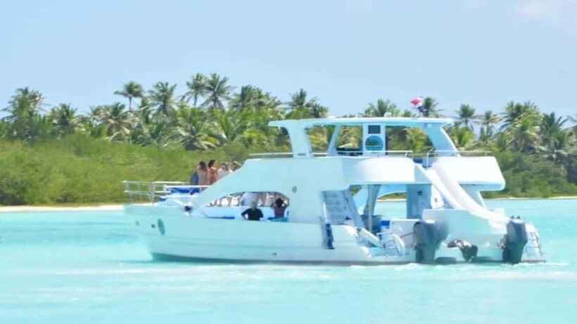 Samaná: Samaná Bay Whale Watching Tour with Drinks - Private vs. Group Tours