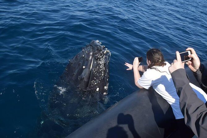Samana Tours (With Whales) Full Day Excursion! All inclusive Tour! - An In-Depth Look at the Tour Experience