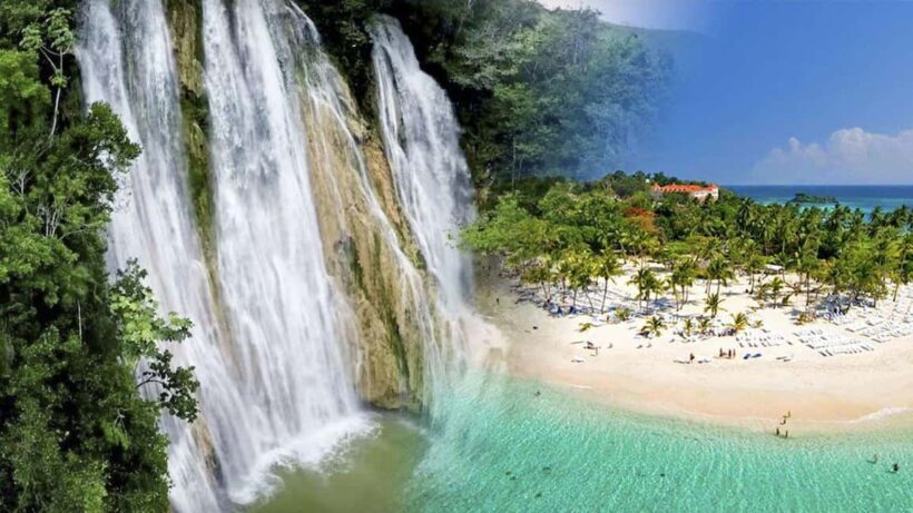 Samana Whale watching and Bacardi Island from Punta Cana - Introducing the Samaná Whale Watching and Bacardi Island Tour: A Practical Look