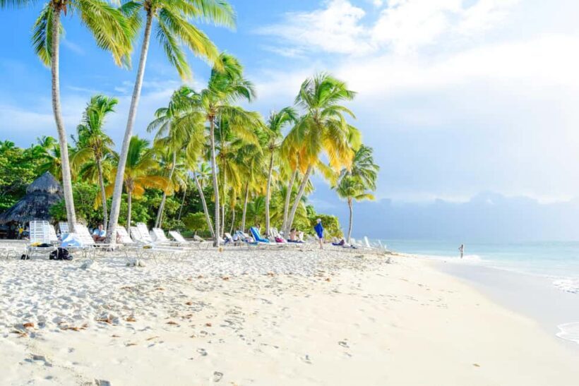 Samanà Whale Watching and Bacardi Island Tour From Bayahibe - Practical Details and Transportation