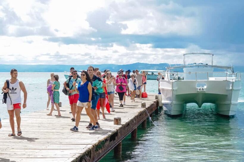 Samanà Whale Watching and Bacardi Island Tour From Bayahibe - Who Should Consider This Tour?