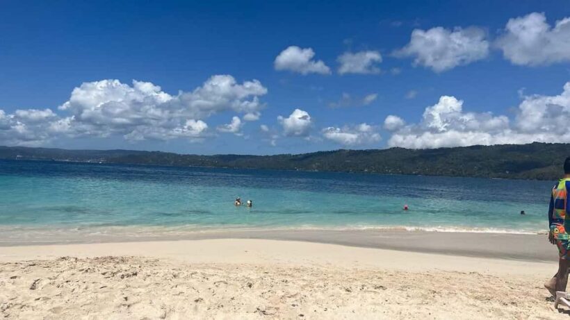 Samaná: Whale Watching and Cayo Levantado Day Trip - Key Points