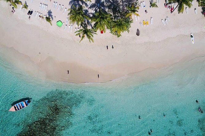 Samaná Whale Watching plus Cayo Levantado Bacardi Island - The Sum Up: Who Is This Tour Best For?