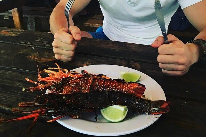 Samaná Whale Watching plus Cayo Levantado Bacardi Island - FAQ