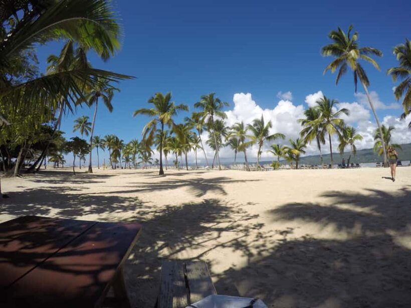 Samana: Whale Watching Tour - What the Reviews Say