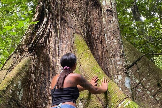 Samaná Whale Watching, waterfall & Cayo Levantado Adventure - What You Can Expect from This Tour