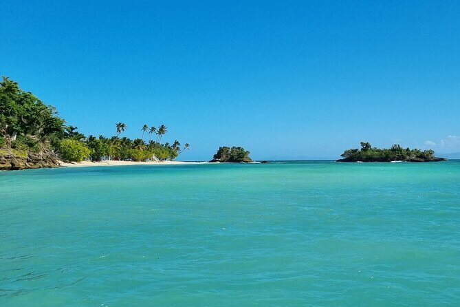 Samana Whales Watching Full Day Tour with Cayo Levantado and more - Additional Details and Practicalities