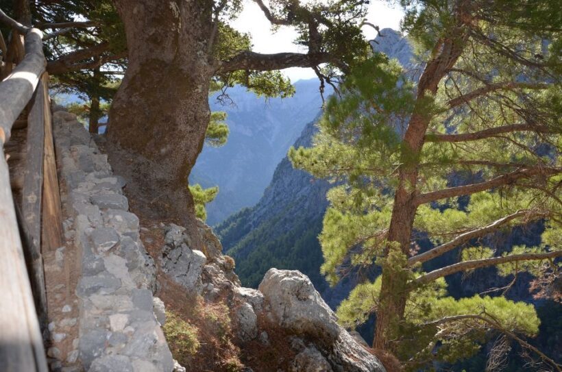 Samariá Gorge Hike: Day Excursion from Chania - Key Points