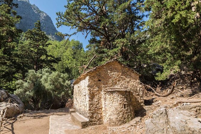 Samaria Gorge Hiking From Chania Review - Challenges and Drawbacks Noted in Reviews