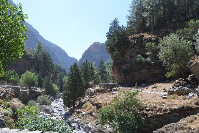 Samaria Gorge Hiking Tour from Chania with Professional Guide - Transportation and Logistics