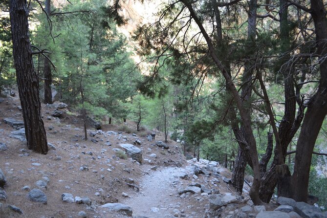 Samaria Gorge Hiking Tour from Chania with Professional Guide - Ending at Agia Roumeli