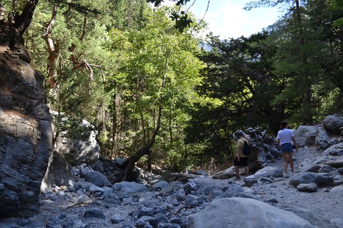 Samaria Gorge Hiking Tour from Chania with Professional Guide - The Ferry and Return Journey