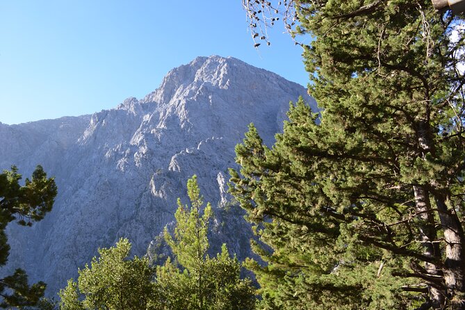Samaria Gorge Hiking Tour from Chania with Professional Guide - Price & Value