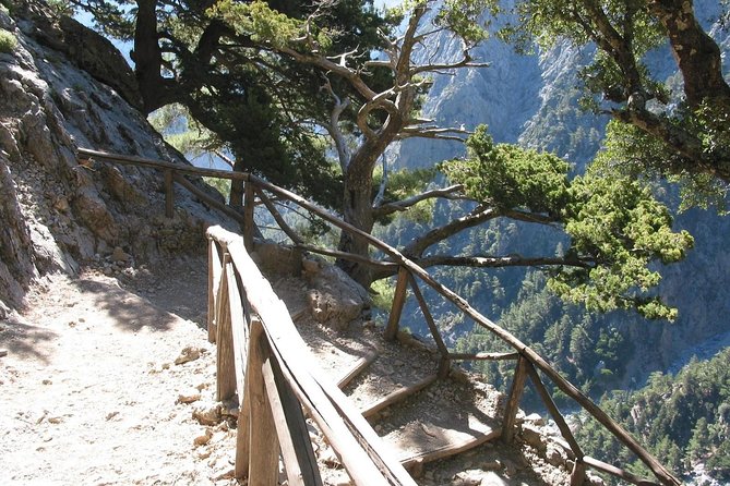 Samaria Gorge Trek: Full-Day Excursion From Chania With Guide - Transportation and Logistics
