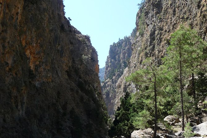 Samaria Gorge Trek: Full-Day Excursion from Heraklion with Guide - Final Thoughts: Who Will Love This Tour?