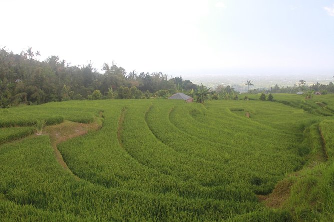 Sambangan Trekking, Sliding, Jumping in Scenic Waterfalls - What Makes This Tour Stand Out?