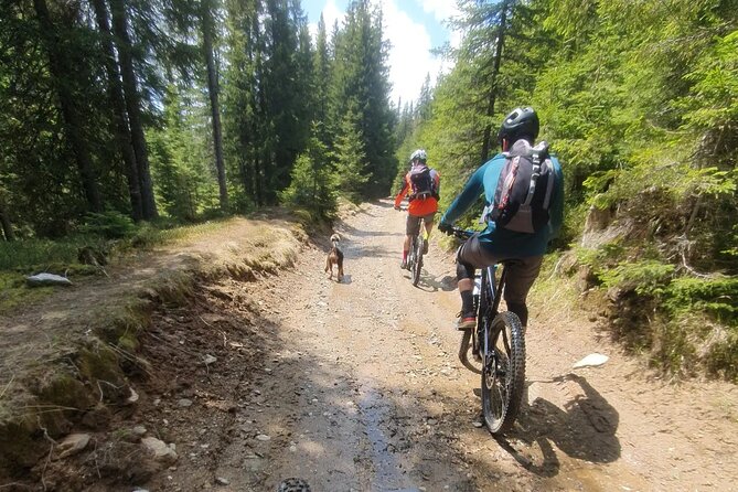 Sambata De Sus: E-Bike Guided Tours - Ratings and Feedback