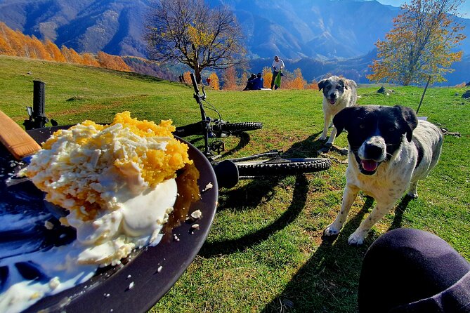 Sambata De Sus: E-Bike Guided Tours - Health and Fitness Considerations