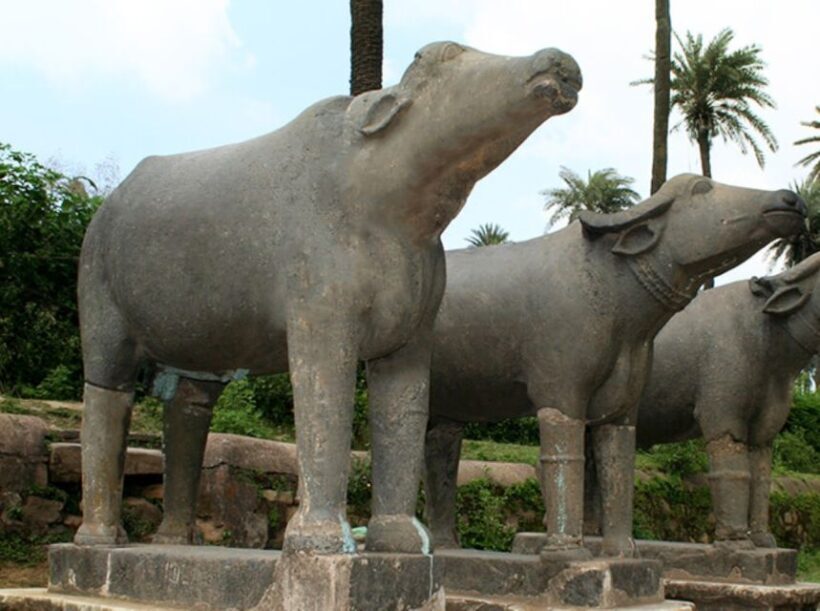 Same Day Ranakpur Trip From Jodhpur - What to Expect on the Day