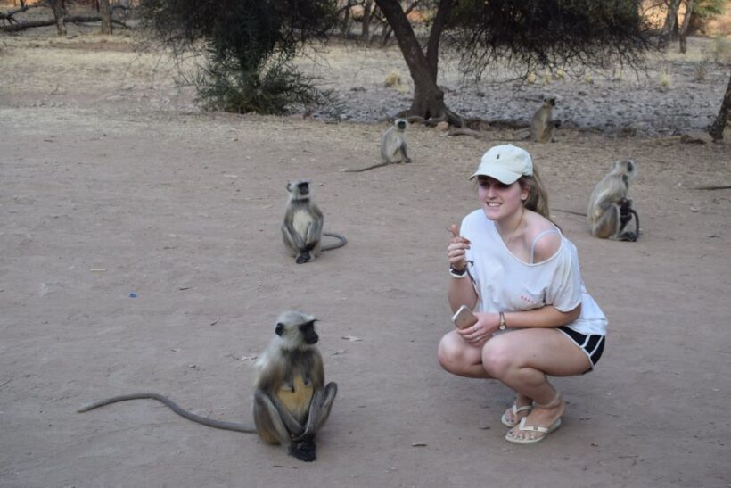 Same Day Ranthambhore WildLife Tour From Jaipur - FAQ