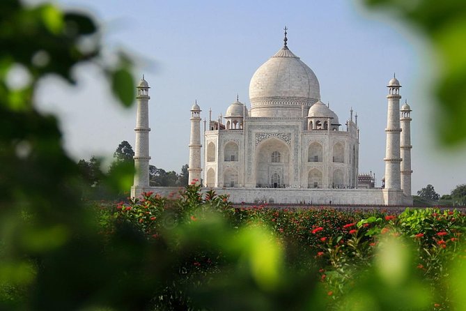 Same Day Taj Mahal, Agra Fort & Baby Taj Tour From Delhi by Car - The Return Trip and Drop-Off