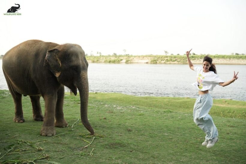 Same day Taj mahal & Agra Fort Tour with Elephant Sanctuary - The Sum Up: Who Should Consider This Tour?