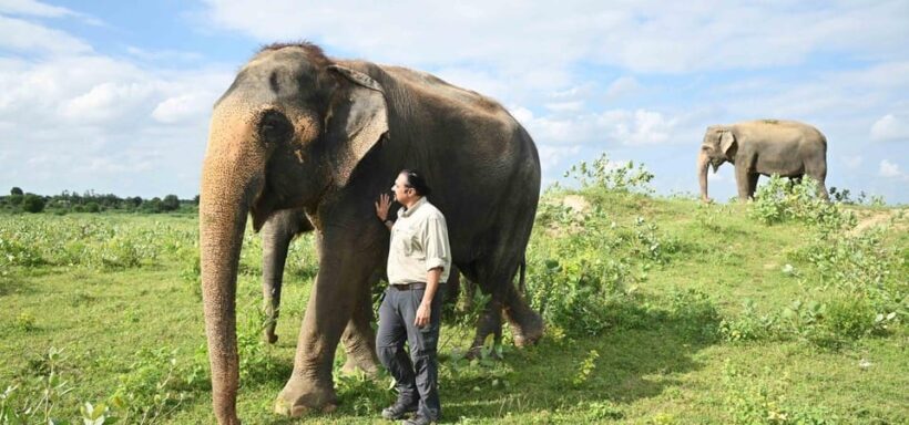 Same day Taj mahal & Agra Fort Tour with Elephant Sanctuary - FAQs
