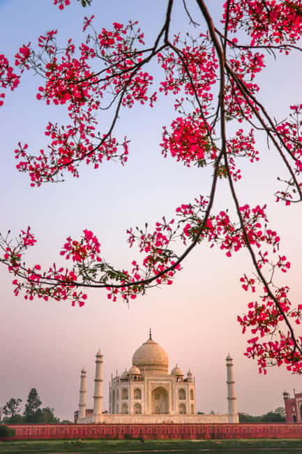 Same Day Taj Mahal Tour from Delhi by Car  Private Day Trip - Introduction