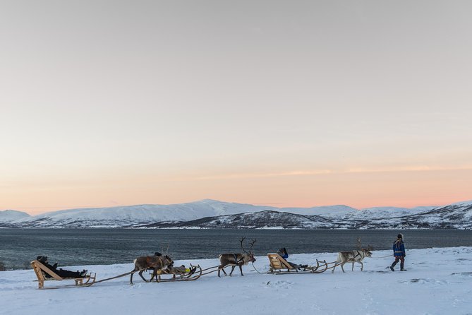 Sami Culture and Short Reindeer Sledding from Tromso - Frequently Asked Questions