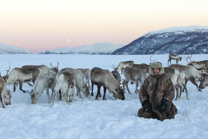 Sami Culture and Short Reindeer Sledding from Tromso - Final Thoughts