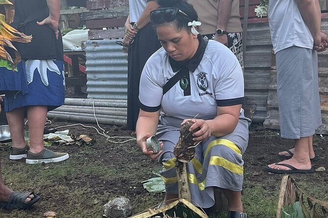 Samoa in a Day: Customizable Tour of Beaches, Waterfalls, Culture - Final Thoughts