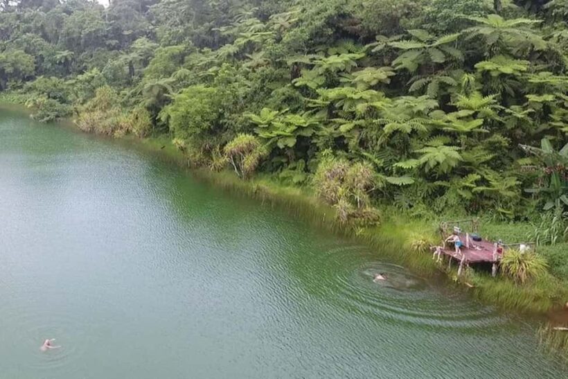 Samoa: Lake Lanoto'o Volcanic Crater Lake Hike & Swim - Reaching the Crater Lake: A Refreshing Surprise