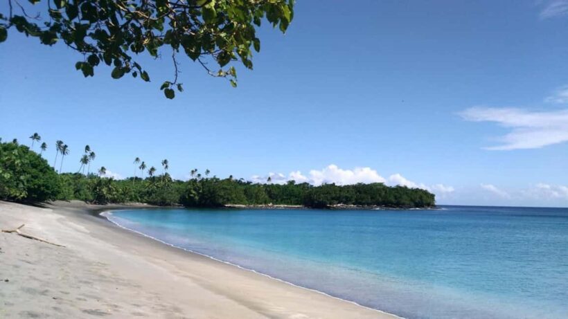 Samoa: National Park Lava Cliffs & Black Sand Beach Day Tour - Key Points