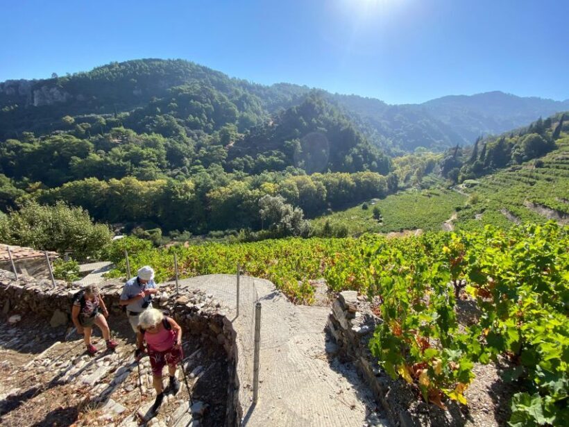 Samos: Full-Day Private Sightseeing Tour - Why Consider the Samos Private Tour?