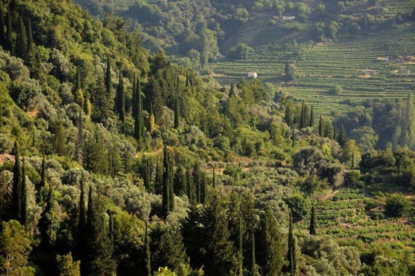 Samos: Full-Day Private Sightseeing Tour - FAQ