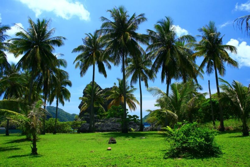 Samui: Angthong National Marine Park Day Trip by Speedboat - Key Points