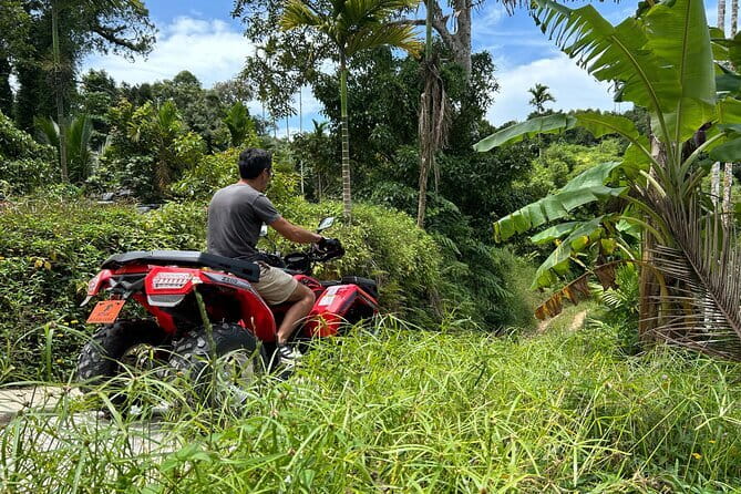 Samui ATV Quad Tour with Scenic Lunch (PRIVATE GROUP 3 or 4 hour) - A Practical Look at the Samui ATV Quad Tour with Scenic Lunch