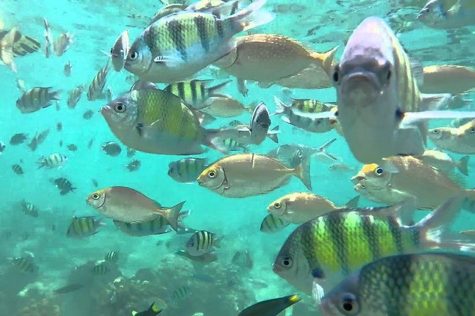 Samui Boat Charter, Private Speedboat Charter, Angthong National Marine Park - Practical Info and FAQs