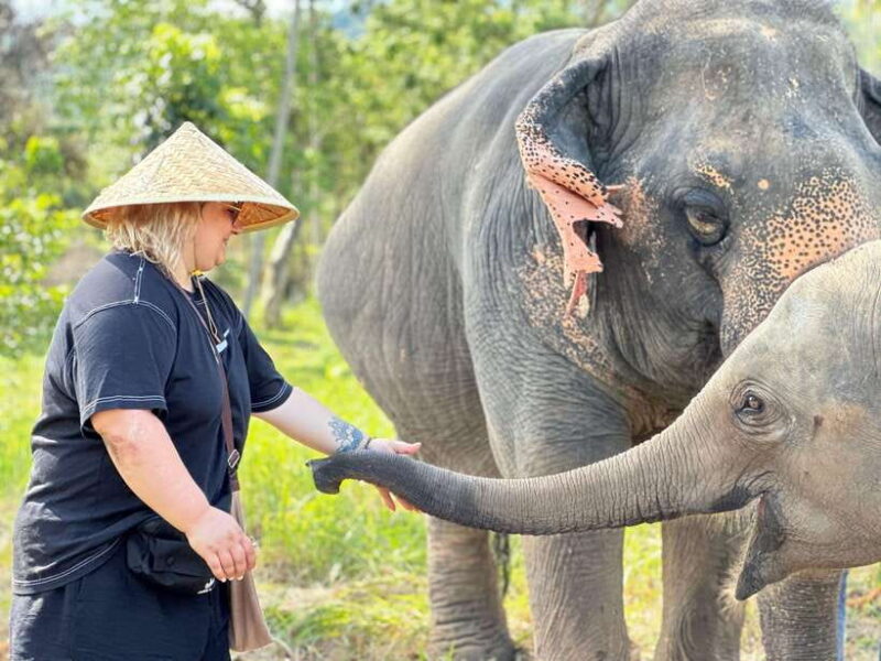 Samui: Elephant Home Sanctuary & the first elephant musuem - Practical Tips for Travelers