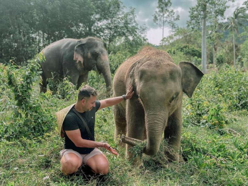 Samui: Elephant Home Sanctuary & the first elephant musuem - FAQ