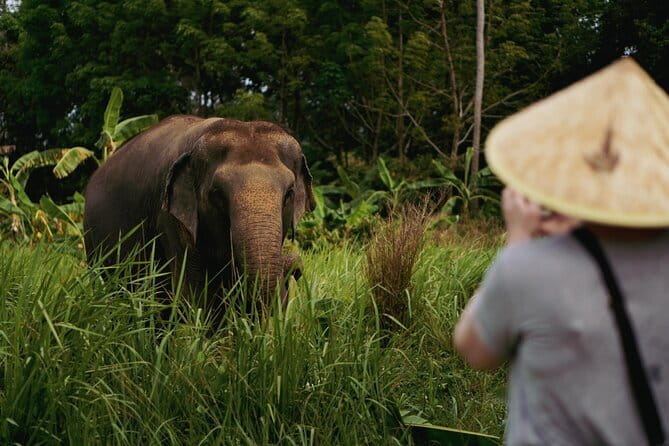 Samui Elephant Kingdom Ethical Sanctuary and Skywalk Tour - FAQs